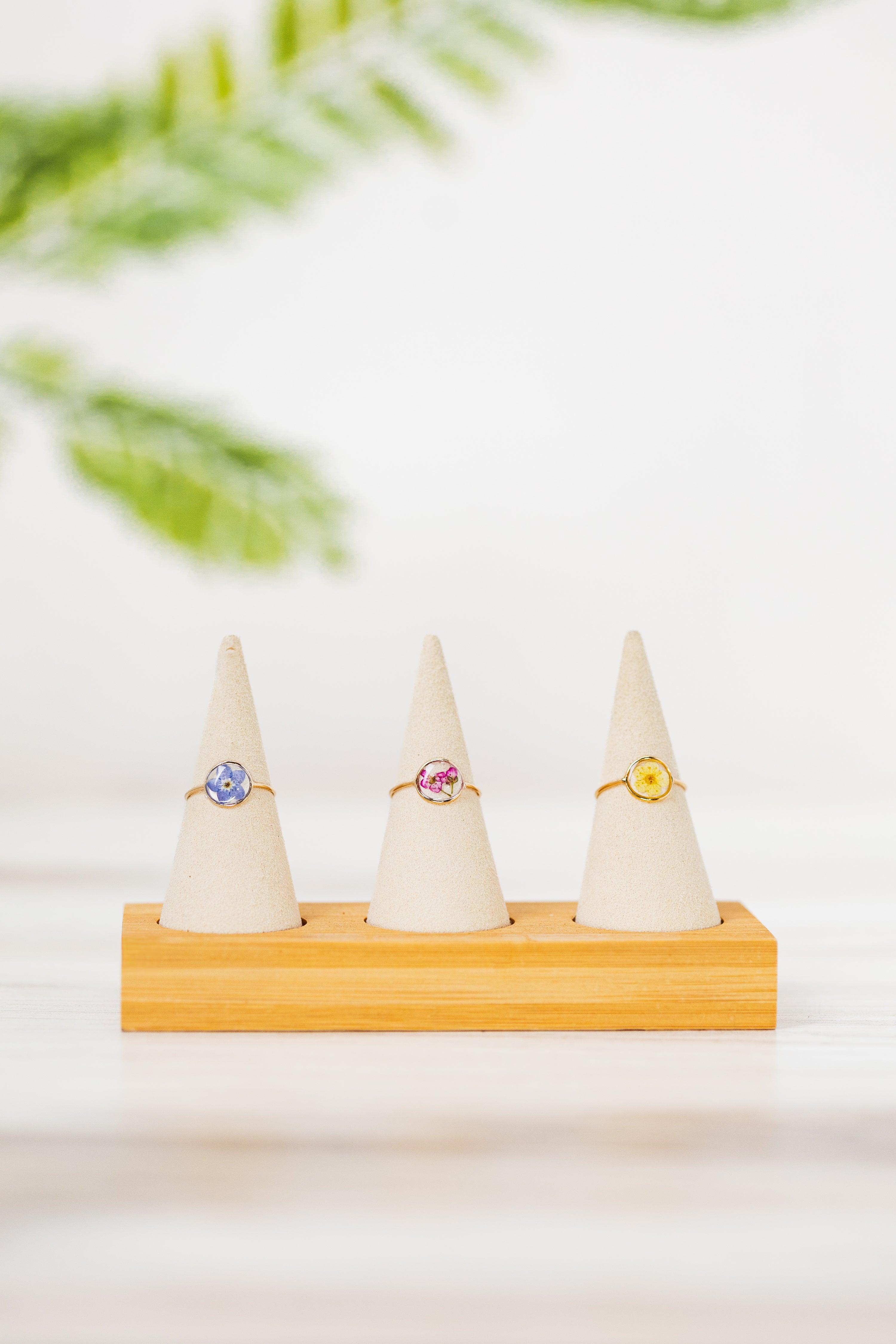 Indigo & Lily Co. – Indigo & Lily Co.